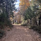 Lyons Dam, California - 561 Reviews, Map | AllTrails