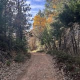 Lyons Dam, California - 561 Reviews, Map | AllTrails