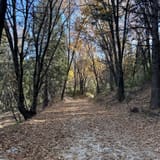 Lyons Dam, California - 561 Reviews, Map | AllTrails