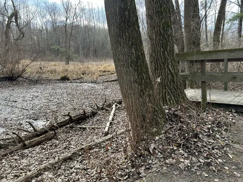 Best Hikes and Trails in Genesee County Park and Forest | AllTrails