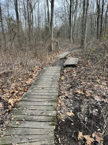 Best Hikes and Trails in Middle Run Valley Park | AllTrails