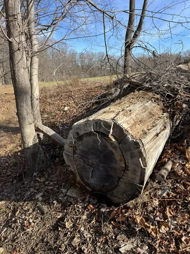 Best Hikes and Trails in Middle Run Valley Park | AllTrails