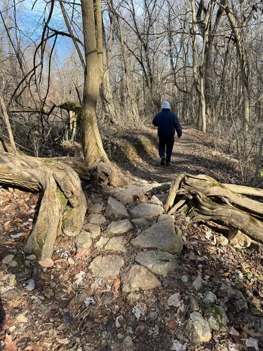 Best Hikes and Trails in Middle Run Valley Park | AllTrails