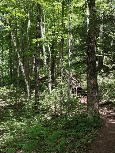 Best Hikes and Trails in Iron County Forest | AllTrails
