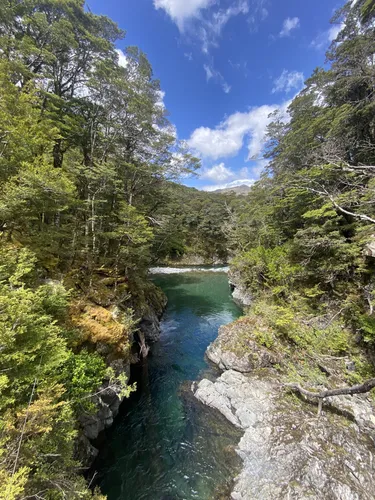 10 Best Hikes and Trails in Lewis Pass Scenic Reserve | AllTrails