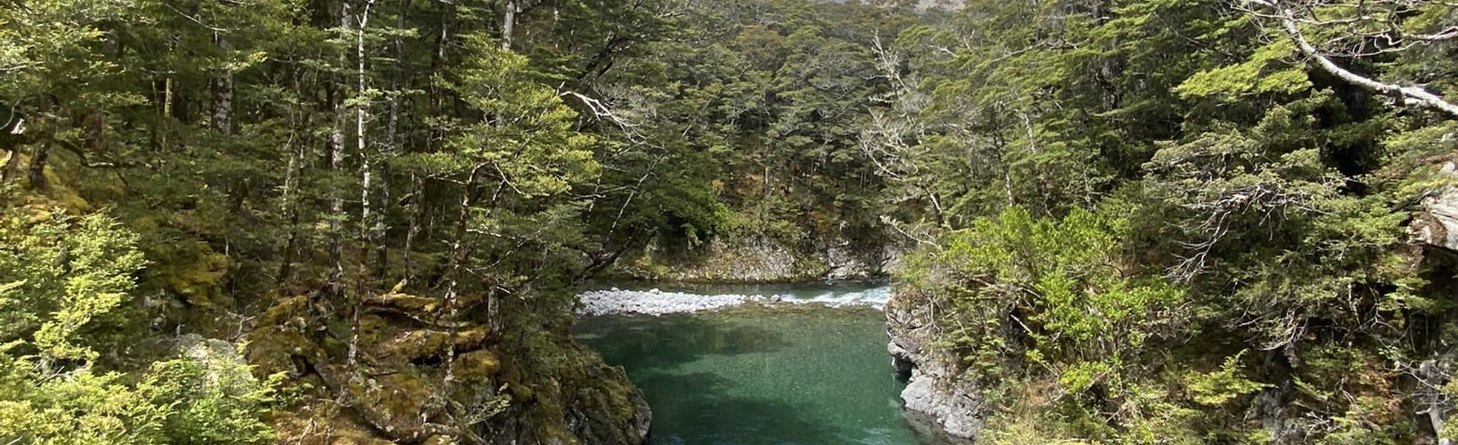 Nina Valley Track: SH7 Car Park to Nina Hut, West Coast, New Zealand ...