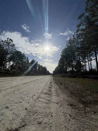 Best Hikes and Trails in Rock Springs Run State Reserve | AllTrails