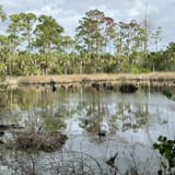Gordon River Greenway, Florida - 927 Reviews, Map | AllTrails