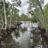 Gordon River Greenway, Florida - 927 Reviews, Map | AllTrails