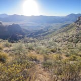 Weavers Needle Loop Trail, Arizona - 566 Reviews, Map | AllTrails