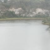 Great South West Walk , Victoria, Australia - 77 Reviews, Map | AllTrails