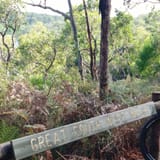 Great South West Walk , Victoria, Australia - 77 Reviews, Map | AllTrails