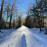 Bearskin State Trail, Wisconsin - 273 Reviews, Map | AllTrails