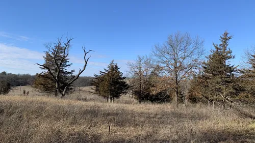 Best Hikes and Trails in Sugar River Alder Forest Preserve | AllTrails