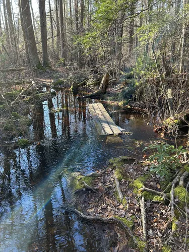 Best Hikes and Trails in Pulaski State Park | AllTrails