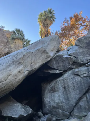 Best Hikes and Trails in Cahuilla Native American Land - Indian Canyons ...