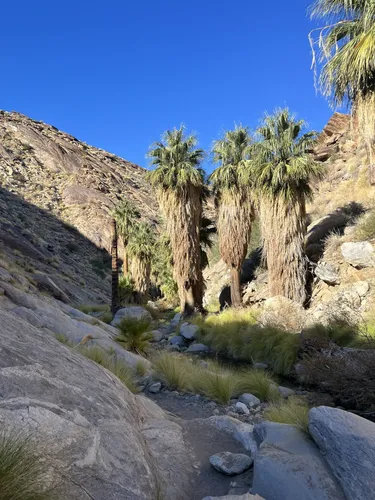 Best Hikes and Trails in Cahuilla Native American Land - Indian Canyons ...