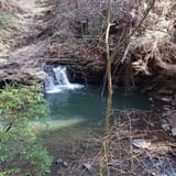 Fiery Gizzard Loop, Tennessee - 1,123 Reviews, Map | AllTrails