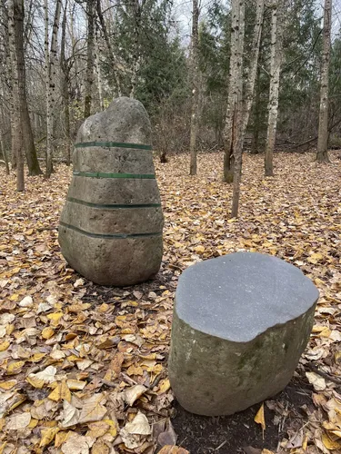 Best Forest Trails in Boring | AllTrails