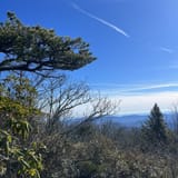 Graybeard Trail, North Carolina - 1,773 Reviews, Map | AllTrails