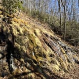 Graybeard Trail, North Carolina - 1,773 Reviews, Map | AllTrails