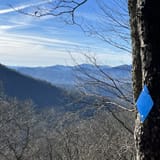 Graybeard Trail, North Carolina - 1,773 Reviews, Map | AllTrails