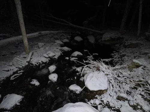 Best Hikes and Trails in McCabe Forest | AllTrails