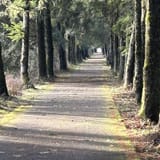 Chehalis Western Trail, Washington - 546 Reviews, Map | AllTrails