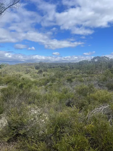 Best Hikes and Trails in Long Forest Fauna and Flora Reserve | AllTrails