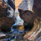 The Subway, Utah - 2,822 Reviews, Map | AllTrails