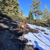 Five Lakes Trail, California - 2,877 Reviews, Map | AllTrails