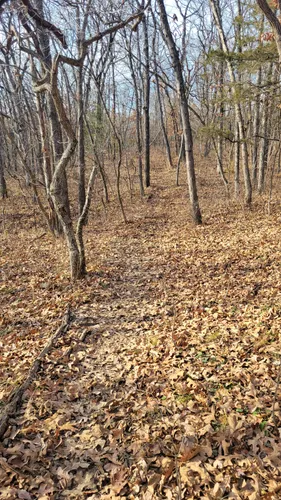 Best Hikes and Trails in Blue & Gray Park Preserve | AllTrails