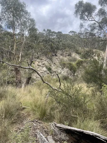 Best Hikes and Trails in Long Forest Fauna and Flora Reserve | AllTrails