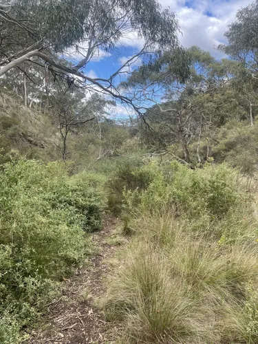 Best Hikes and Trails in Long Forest Fauna and Flora Reserve | AllTrails