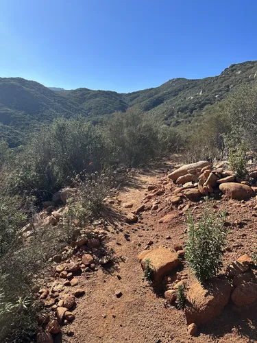 Best Hikes and Trails in Agua Tibia Wilderness | AllTrails