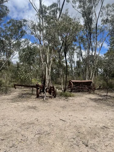 Best Hikes and Trails in Long Forest Fauna and Flora Reserve | AllTrails