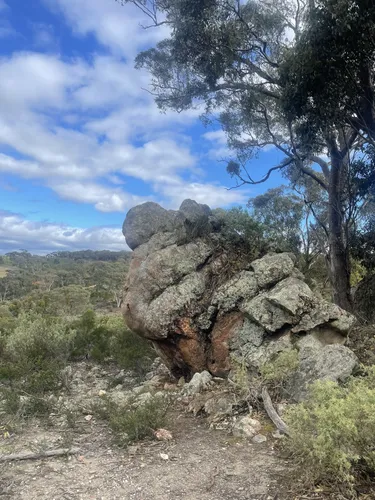 Best Hikes and Trails in Long Forest Fauna and Flora Reserve | AllTrails