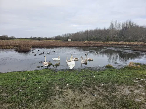 Turvey Nature Reserve: de beste routes om te wandelen | AllTrails