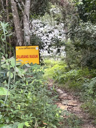 Best Hikes and Trails in Teluk Bahang Forest Park | AllTrails