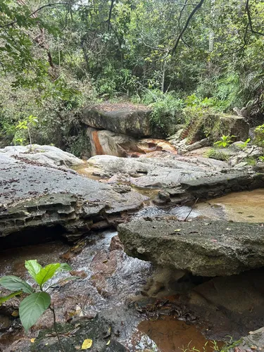 Best Waterfall Trails in Batu Ferringhi | AllTrails