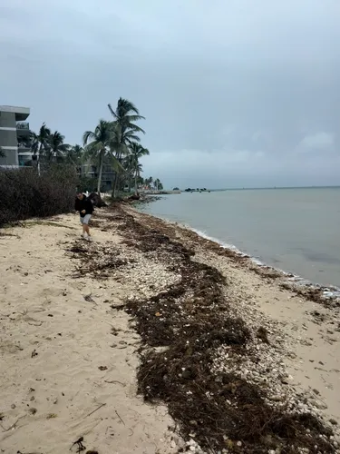 Best Hikes and Trails in Key West | AllTrails