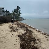 Key West Cycling Loop, Florida - 418 Reviews, Map | AllTrails