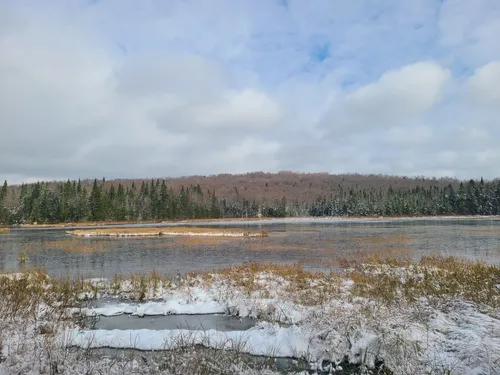 Best Forest Trails in Shannon | AllTrails