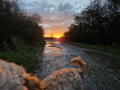 Best Hikes and Trails in Bateswood Nature Reserve | AllTrails