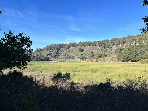 10 Best Hikes and Trails in Lake Chabot Regional Park | AllTrails