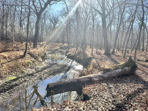 Best Lake Trails in Tinley Creek Forest Preserve | AllTrails