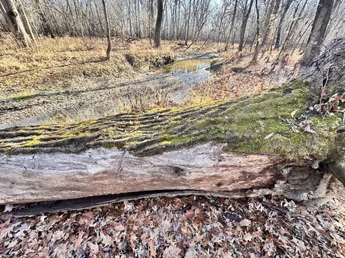 Best Lake Trails in Tinley Creek Forest Preserve | AllTrails