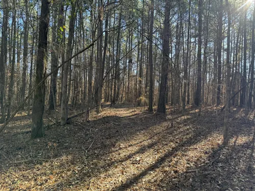 Best Hikes and Trails in Shiloh National Military Park | AllTrails