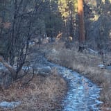 Sandys Canyon Trail, Arizona - 1,191 Reviews, Map | AllTrails