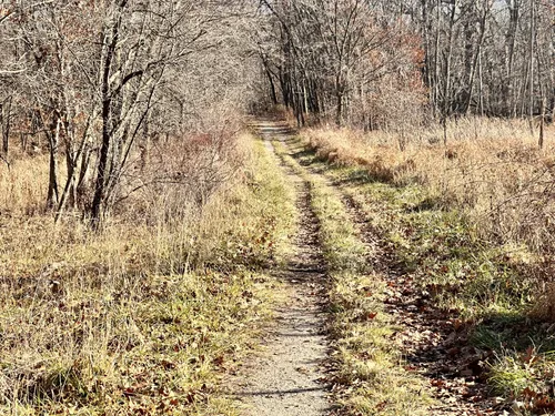 Best Lake Trails in Tinley Creek Forest Preserve | AllTrails